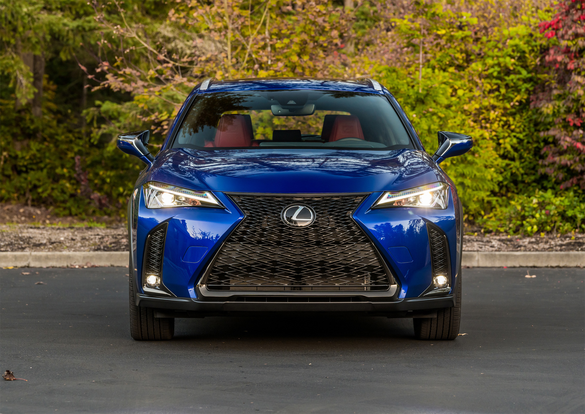 2019 LEXUS UX F SPORT